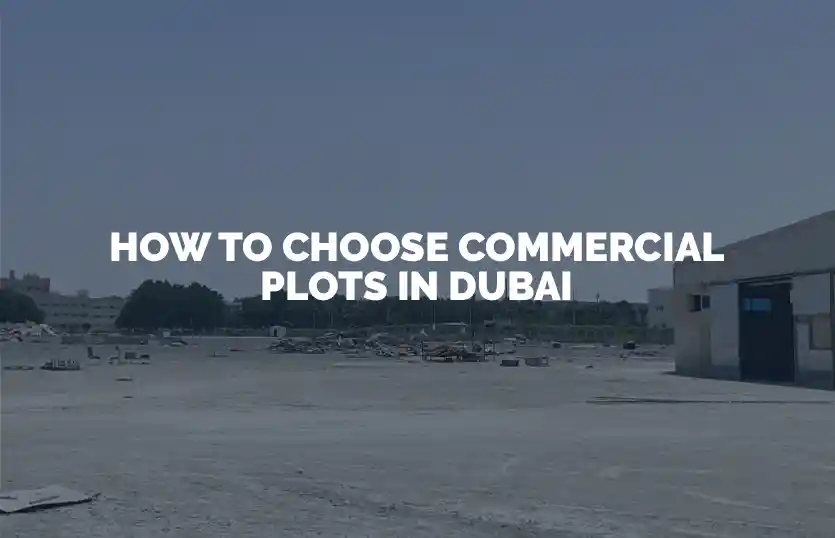 Buying Commercial Plots in Dubai Location Pricing Guide